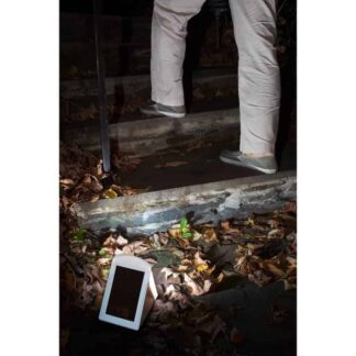 Maxsa Solar Wedge Light | Motion-Activated LED Light | Greenlytes